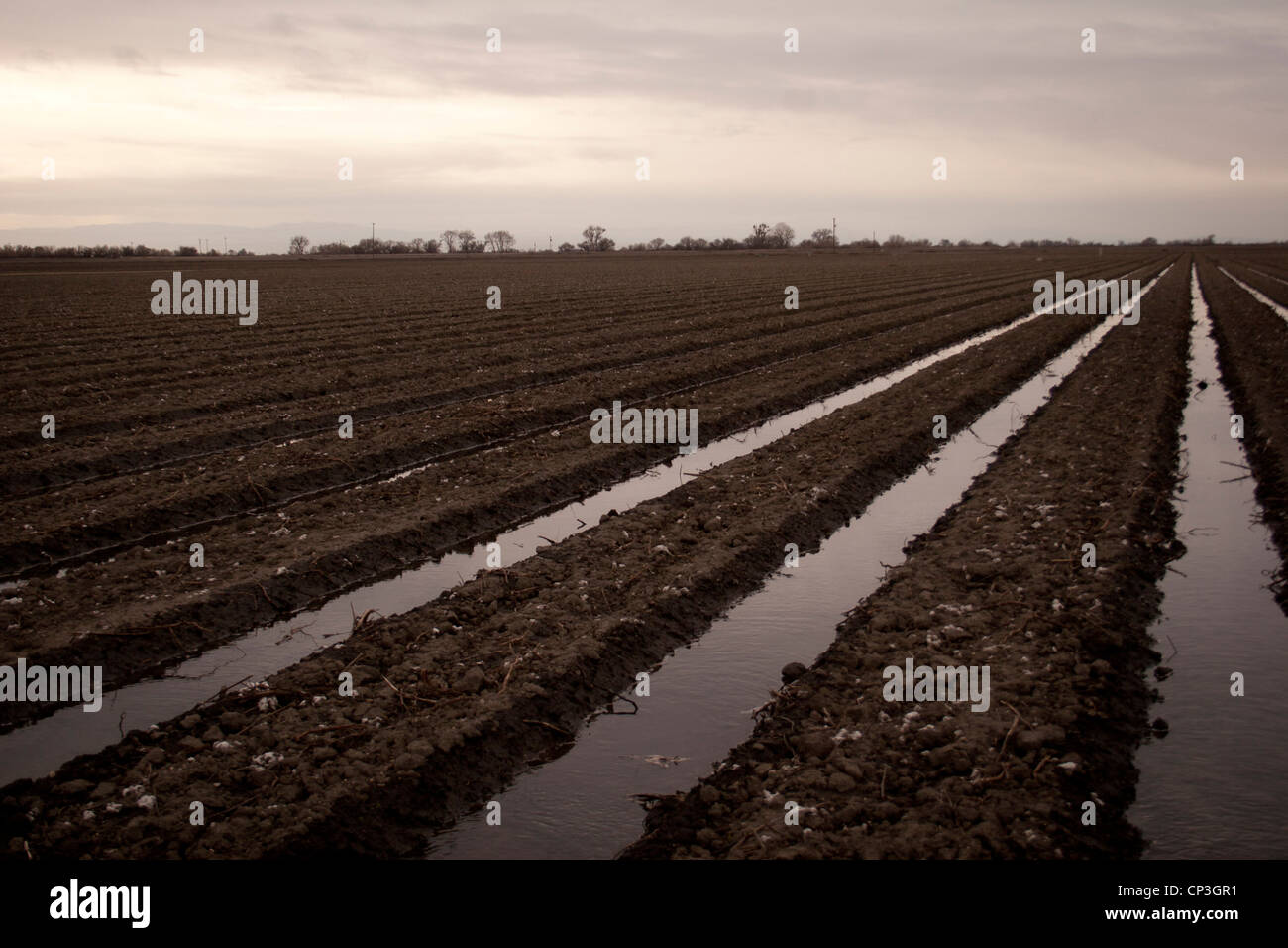 Irrigated field hi-res stock photography and images - Alamy