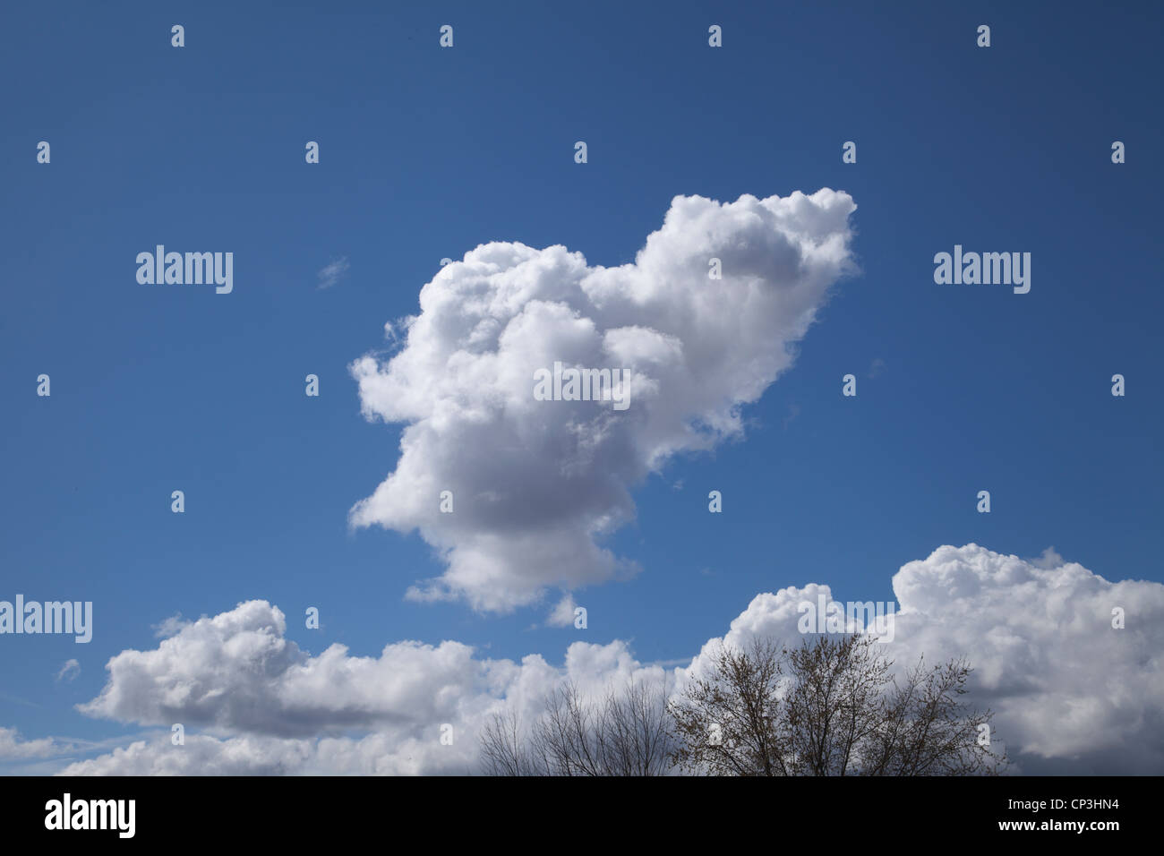 A cumulus cloud formation in the sky Stock Photo - Alamy