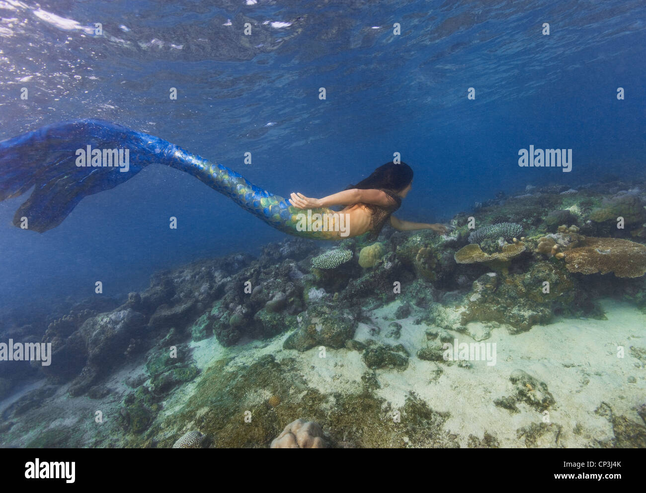 Mermaid swimming in deep ocean hi-res stock photography and images - Alamy