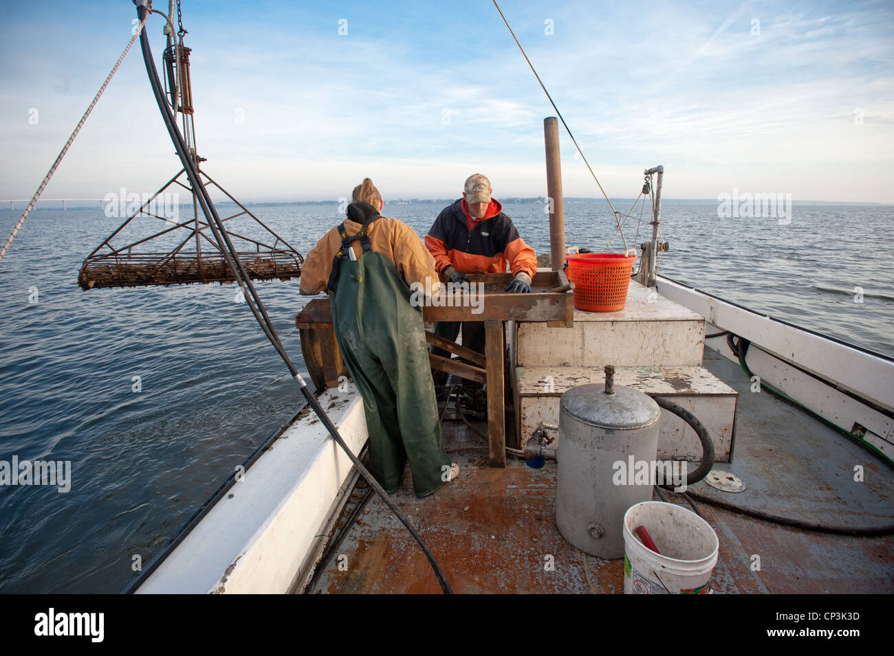 Tonging oysters hi-res stock photography and images - Alamy