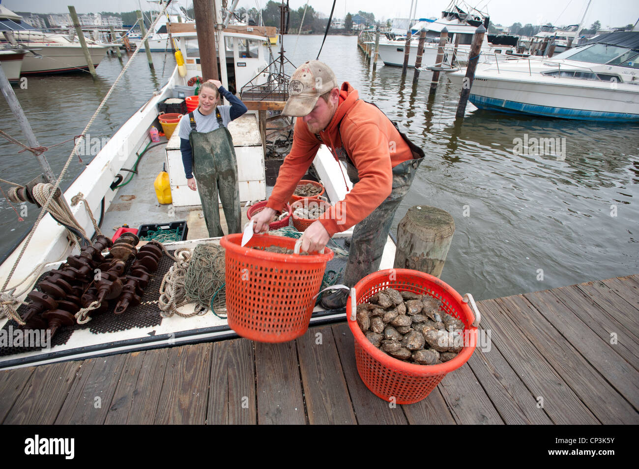 Oystering High Resolution Stock Photography and Images - Alamy