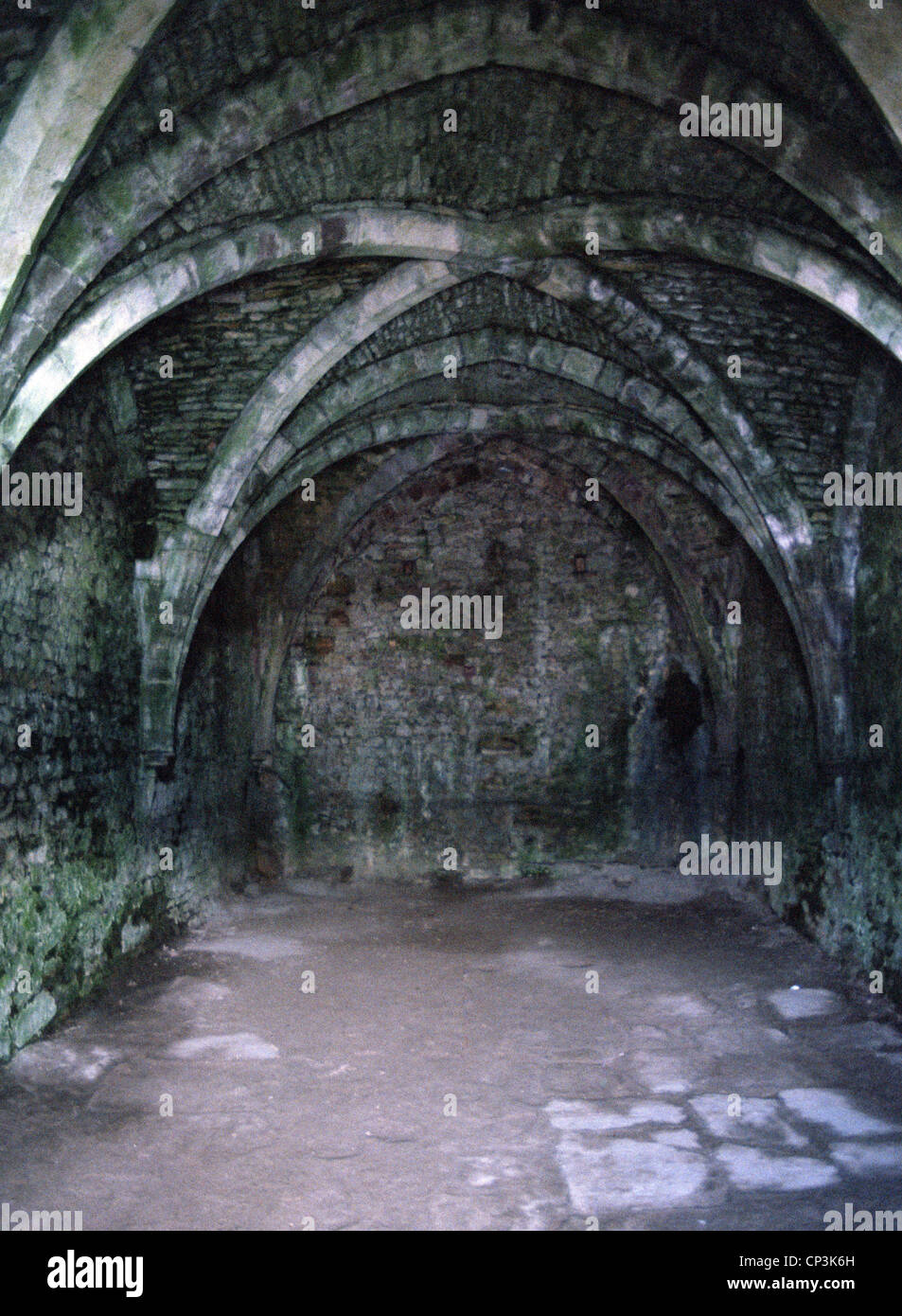 Medieval dungeon chamber hi-res stock photography and images - Alamy