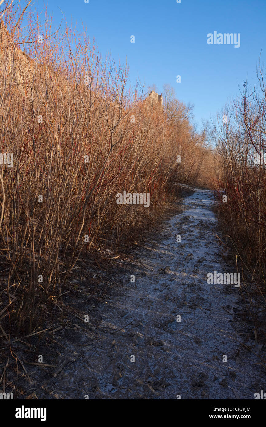 Scarborough bluffs winter hi-res stock photography and images - Alamy