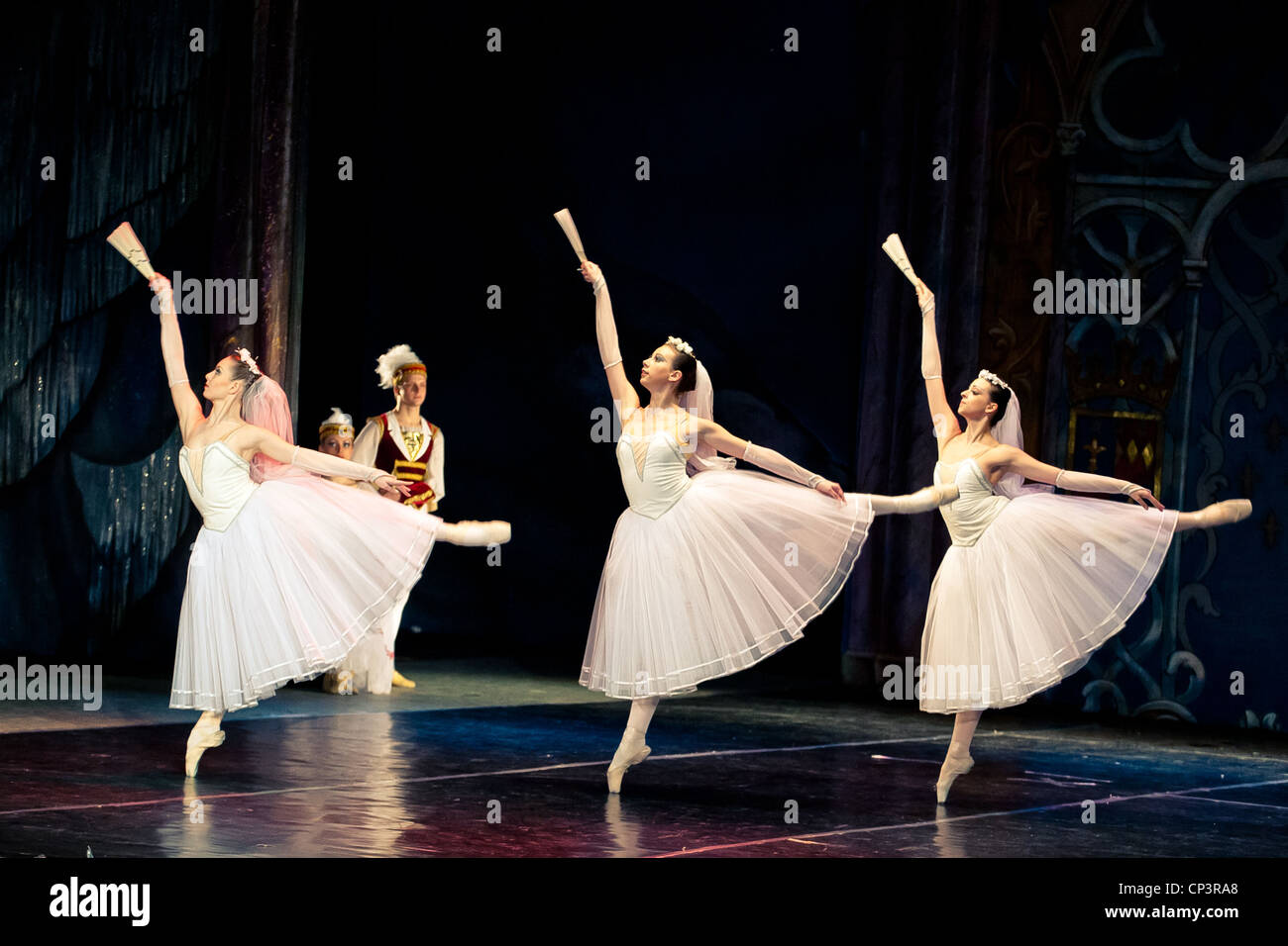 Tour of Classical Grand Ballet - Stars of the St. Petersburg Ballet ...