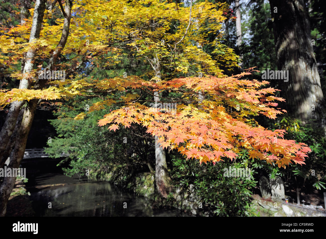 Gobyonohashi hi-res stock photography and images - Alamy