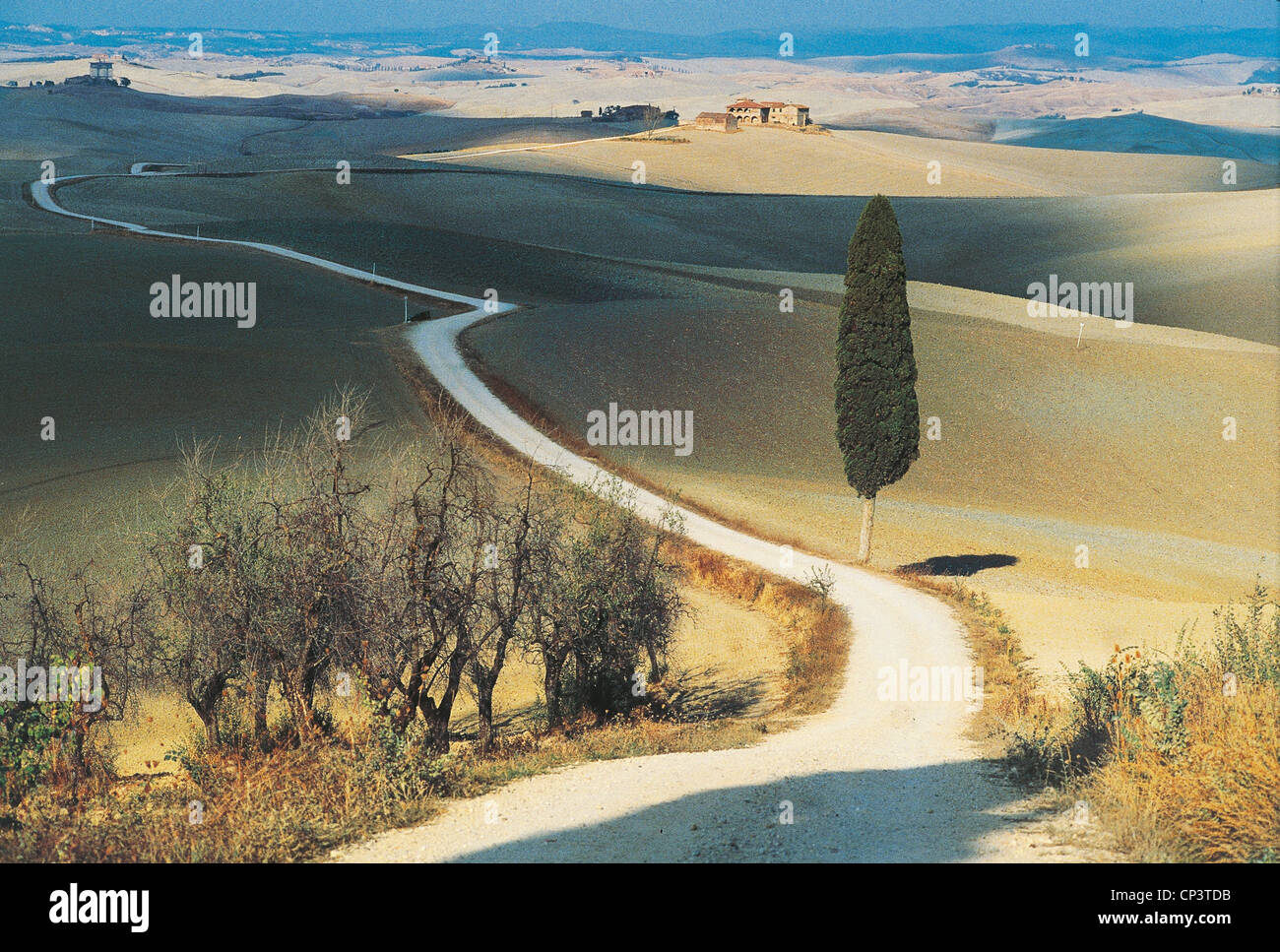 Siena Tuscany Landscape Stock Photo - Alamy