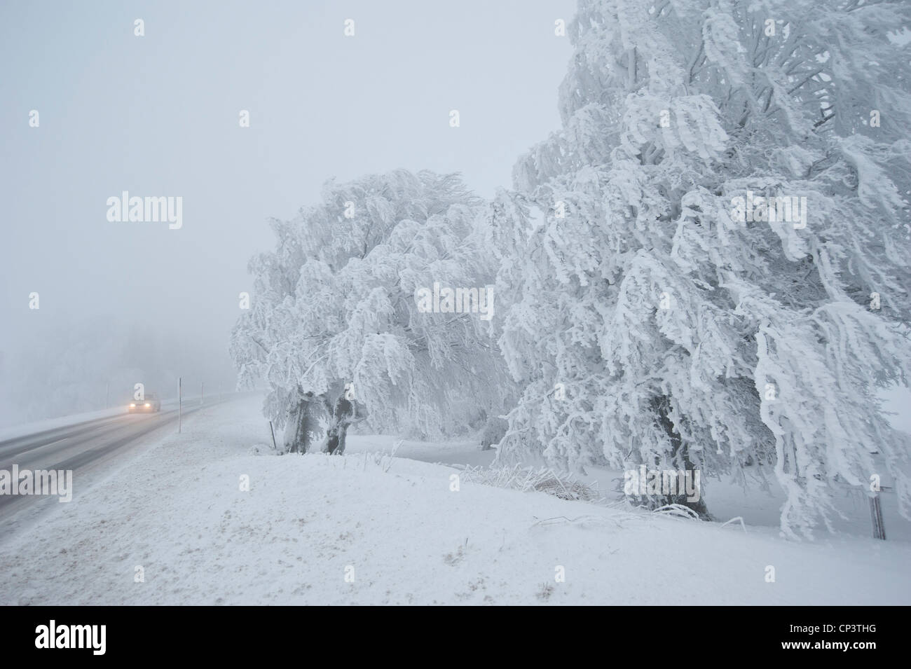 Bad visibility hi-res stock photography and images - Alamy