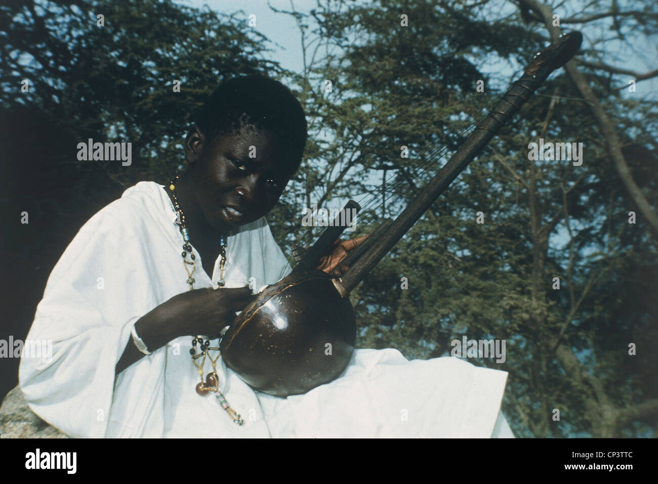 Stringed instrument hi-res stock photography and images - Alamy