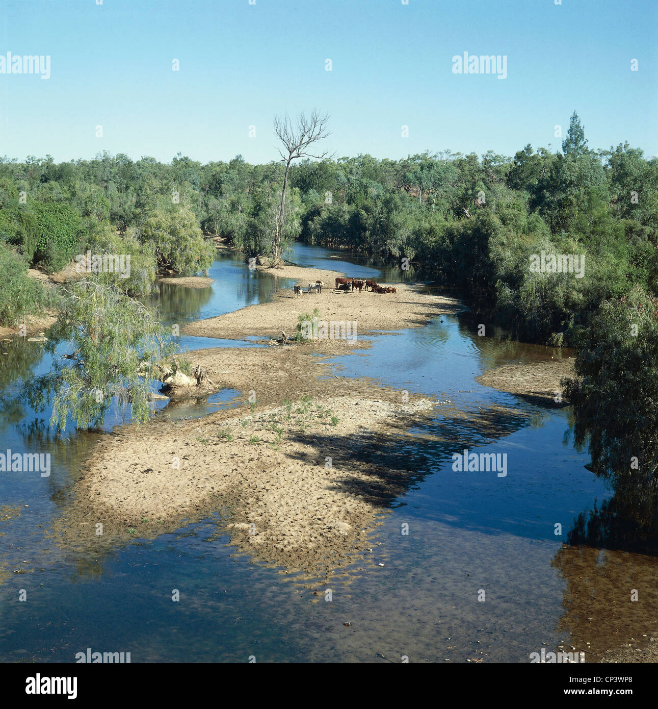 Australia - Queensland, Mount Surprise, River Junction Stock Photo - Alamy