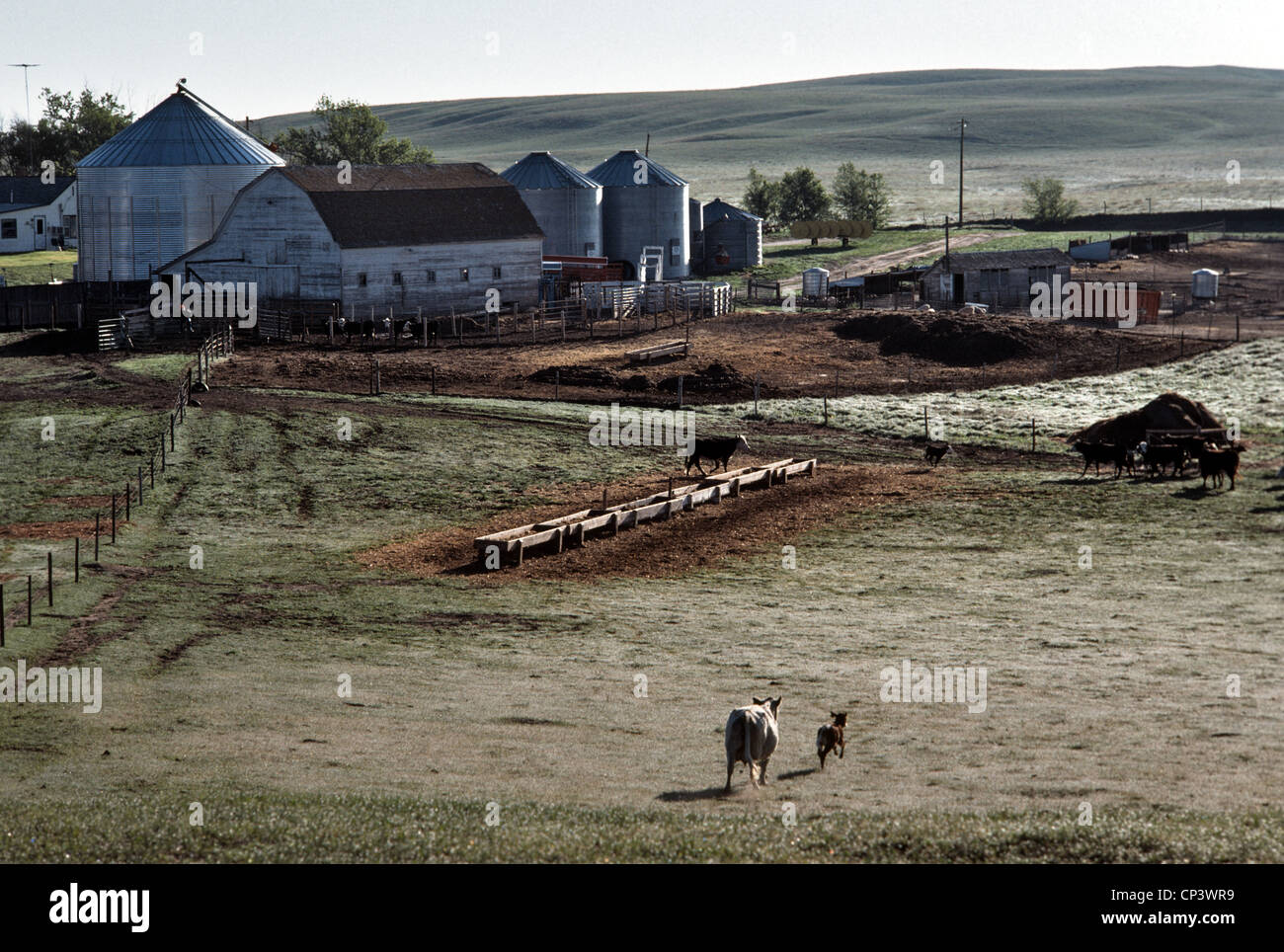 Typical Nebraskan farm with surrounding fields Stock Photo - Alamy