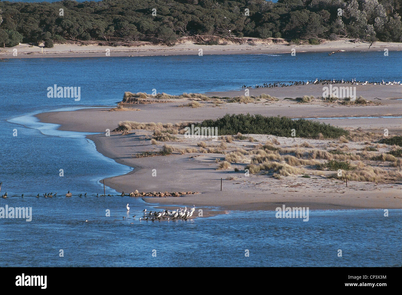 Twofold hi-res stock photography and images - Alamy