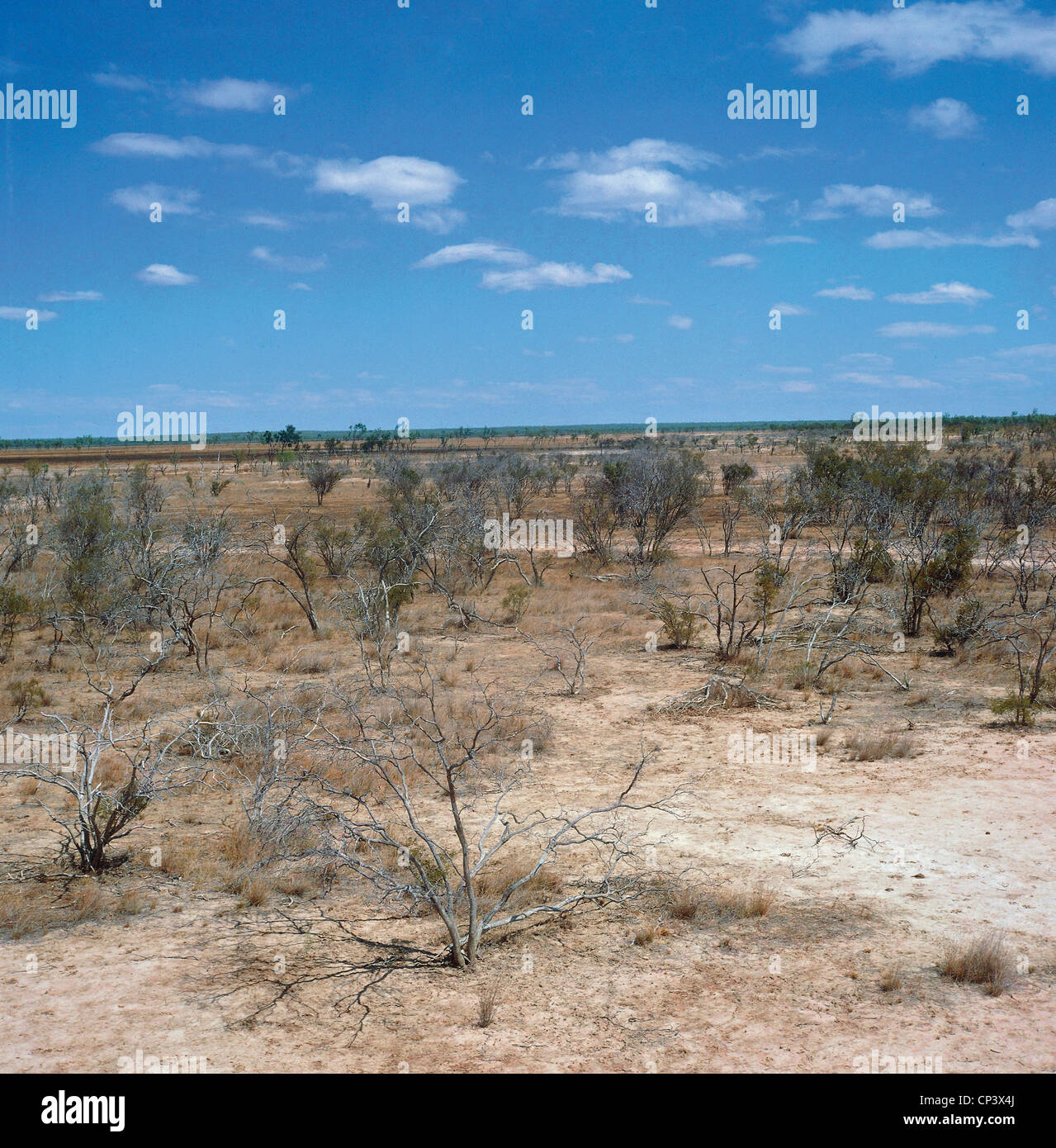 Australia - Queensland - Savannah Stock Photo - Alamy