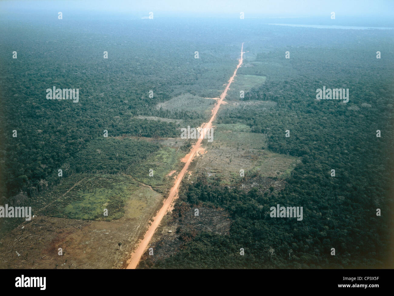THE AMAZONAS BRAZIL Transamazonica Stock Photo - Alamy