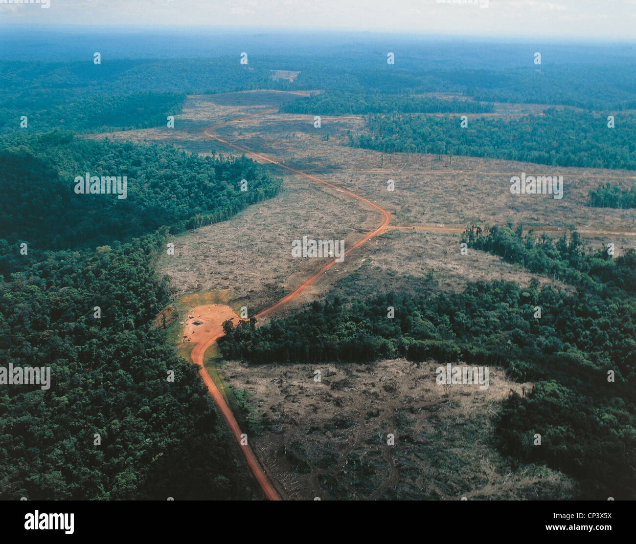 Jari river hi-res stock photography and images - Alamy