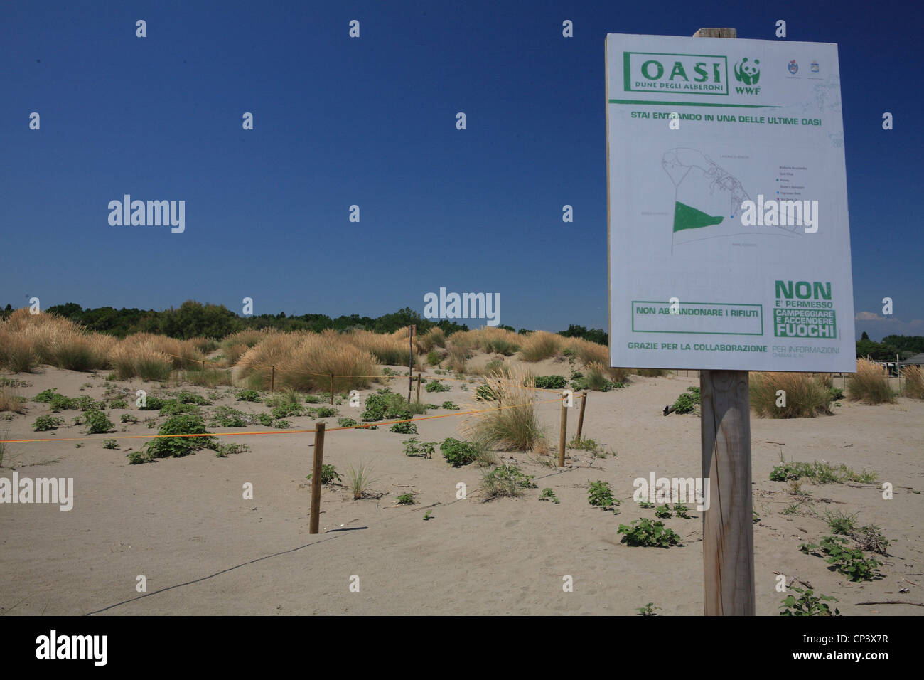 Alberoni dunes hi-res stock photography and images - Alamy