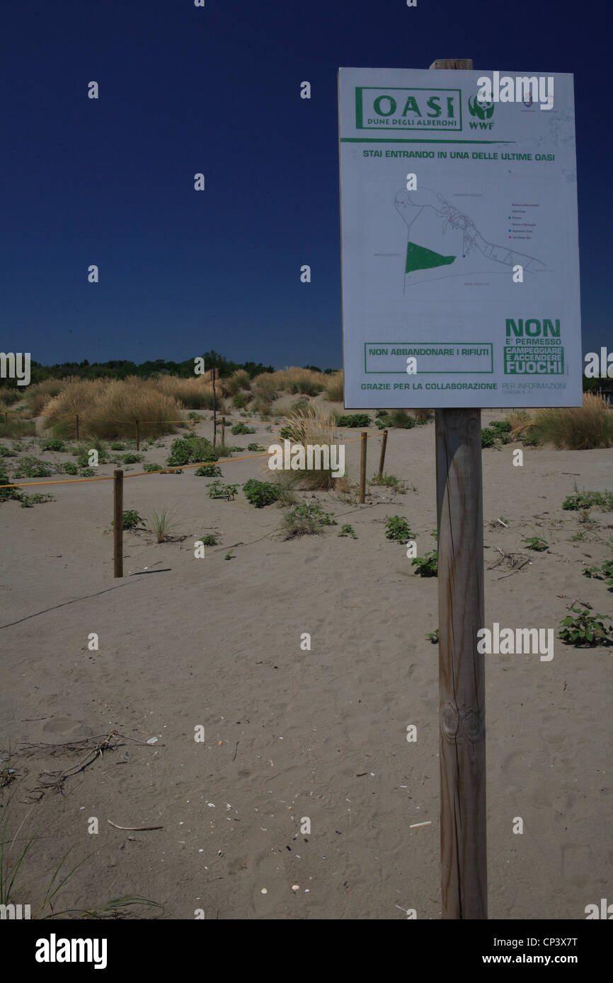 Alberoni dunes hi-res stock photography and images - Alamy