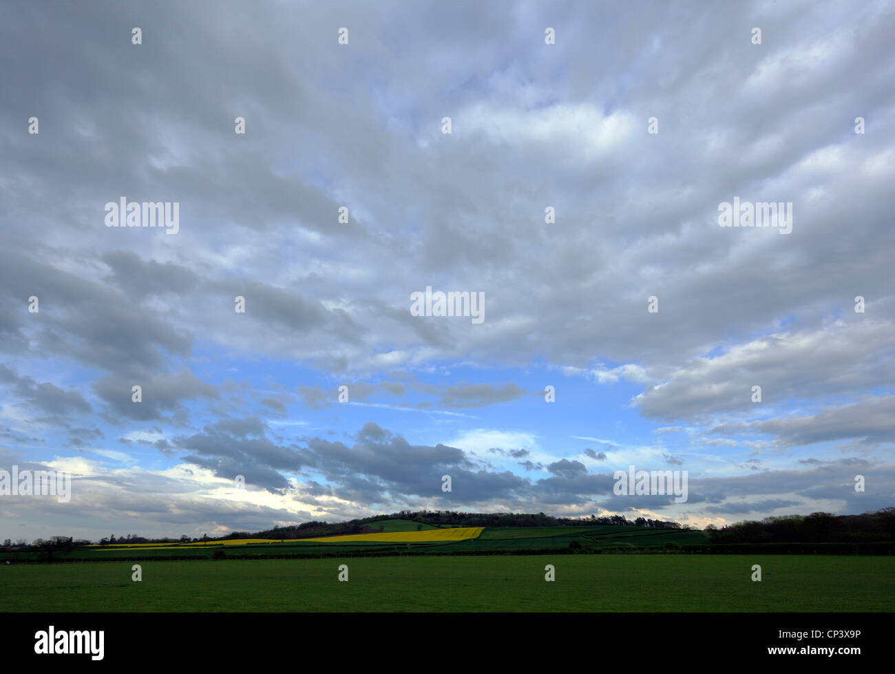 Oil seed rape crops abound in this westerly view of Ruckley Bank near ...