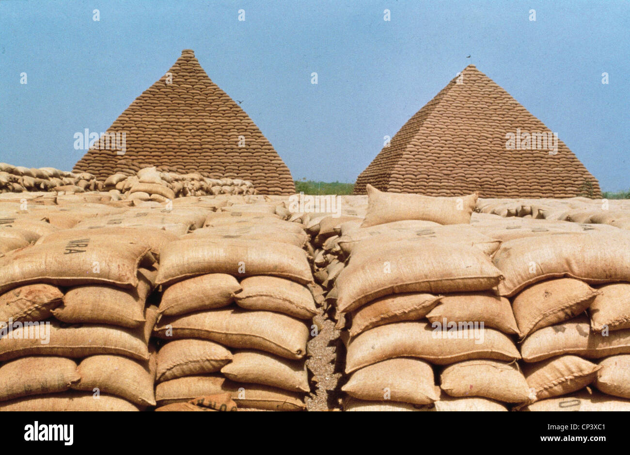 Niger - Collection of peanuts Stock Photo - Alamy