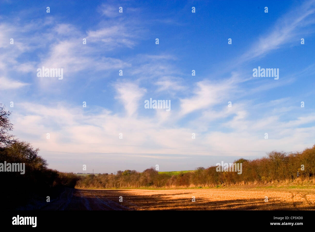 Blue skies, countryside, landscape Stock Photo - Alamy