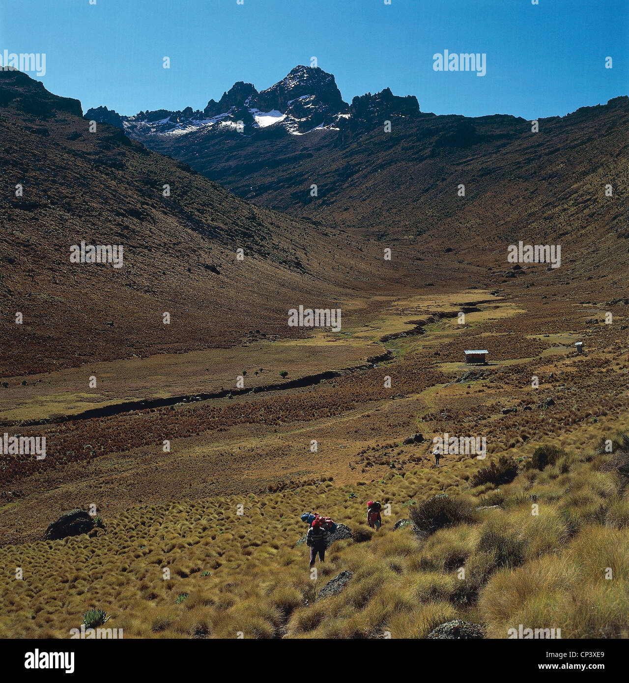 Mount Kenya National Park