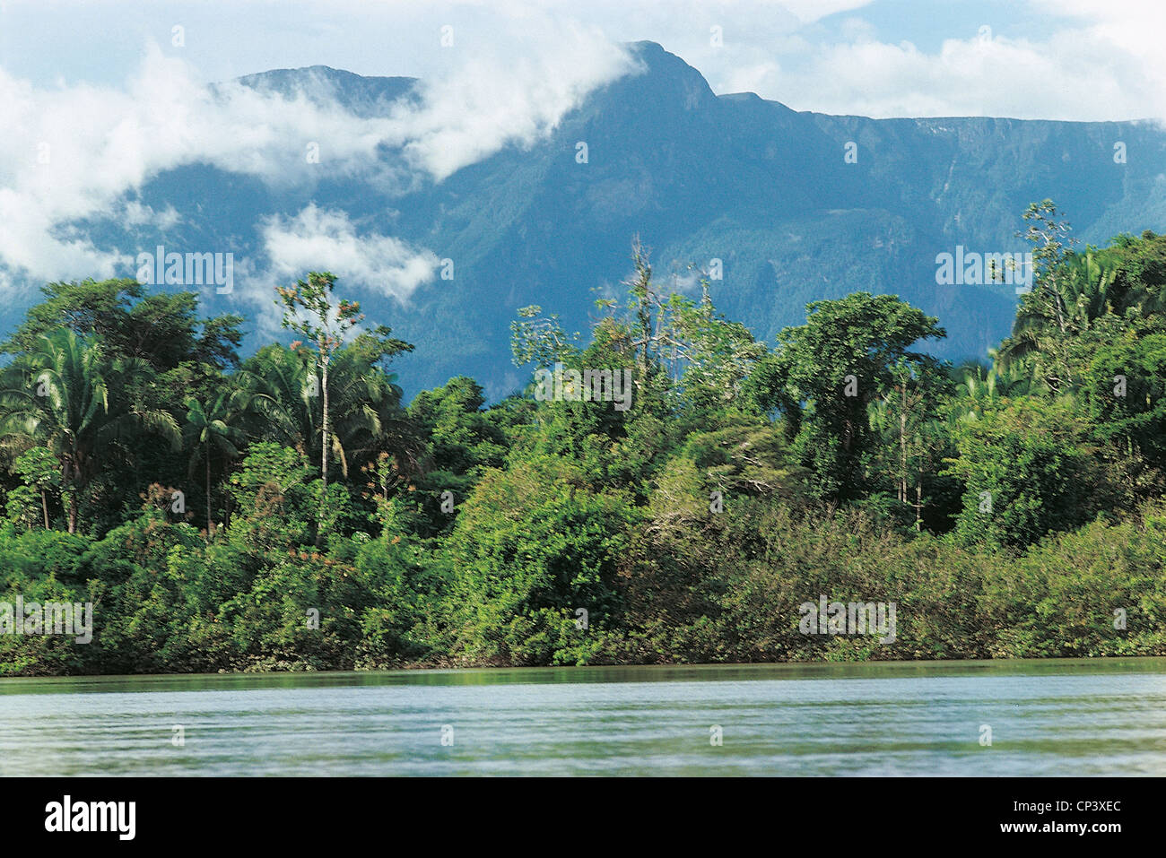 Venezuelan Amazonia - Alto Orinoco, forest and mountains near Esmeralda ...