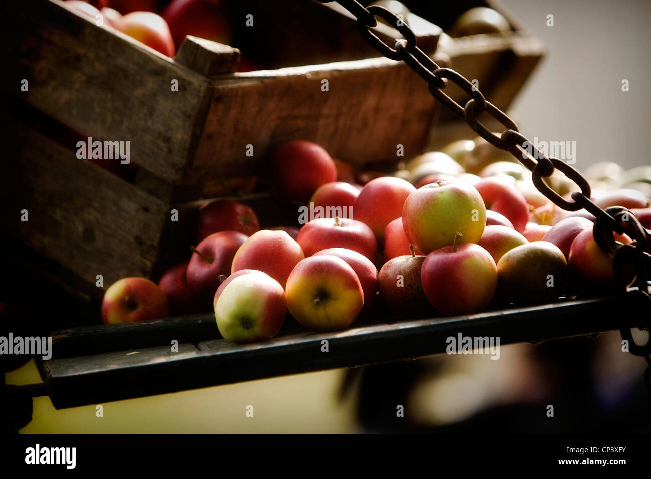 England heritage apple varieties hi-res stock photography and images ...