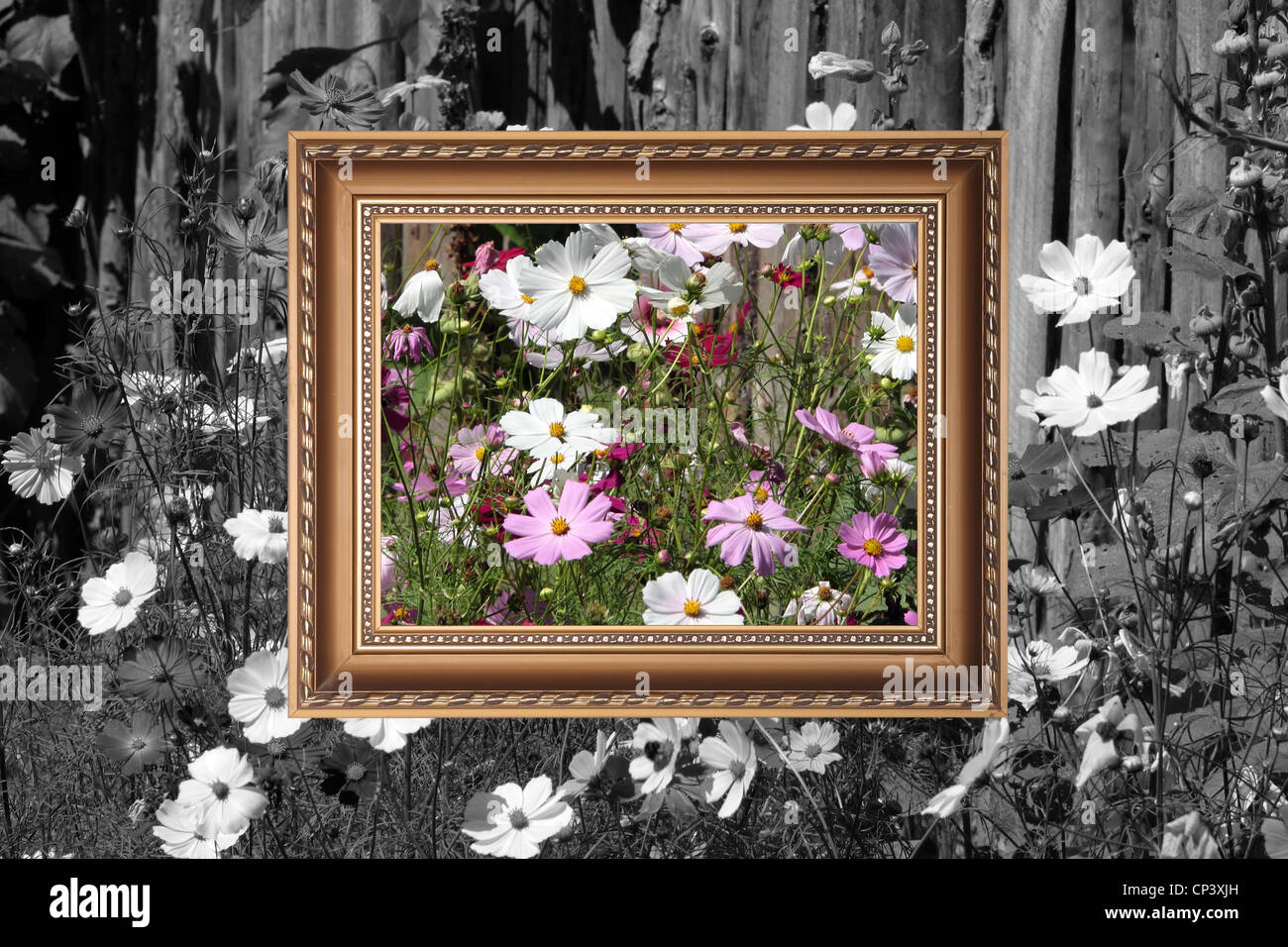 Gold frame flowers hi-res stock photography and images - Alamy