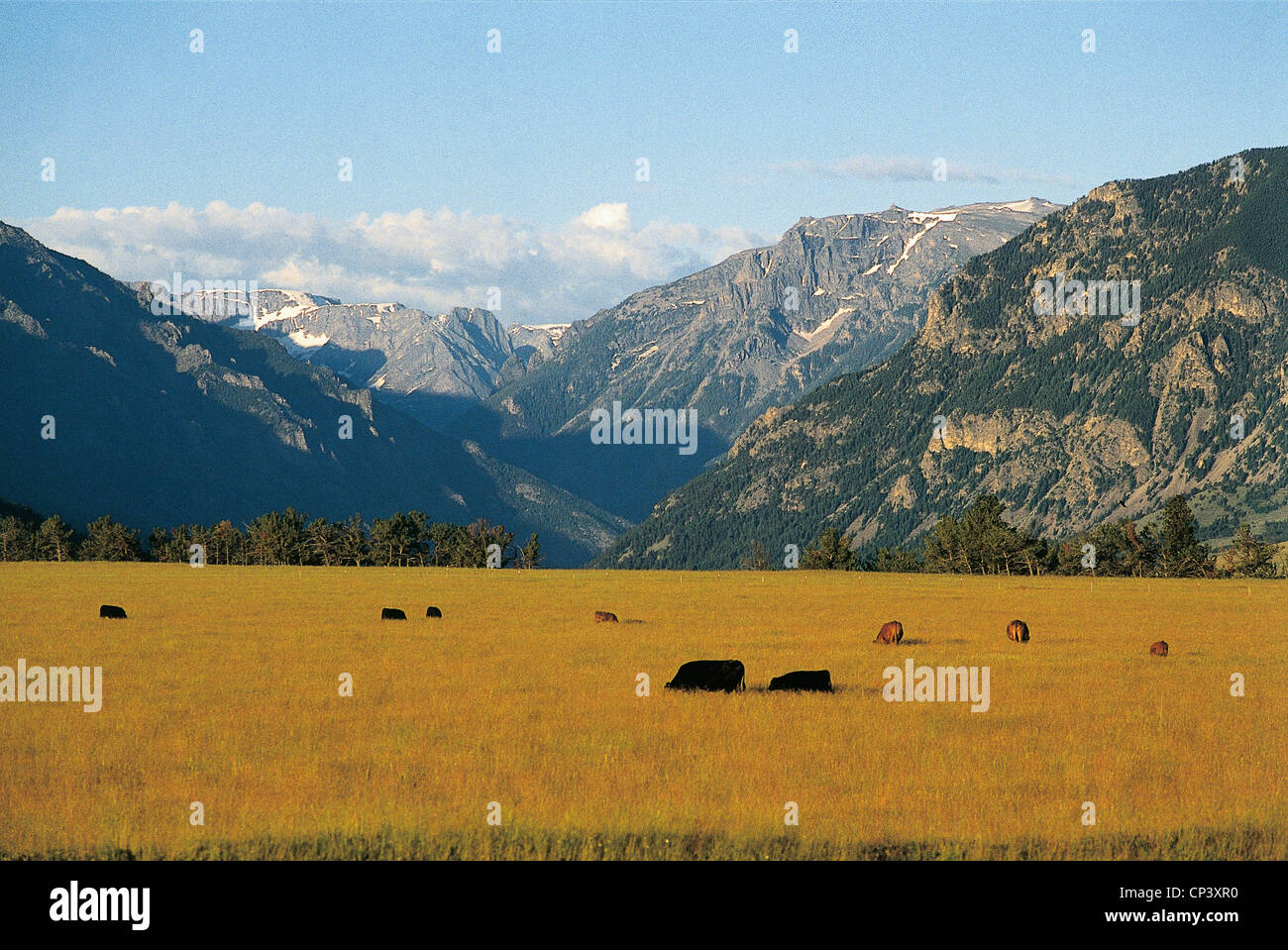 Yellowstone country hi-res stock photography and images - Alamy