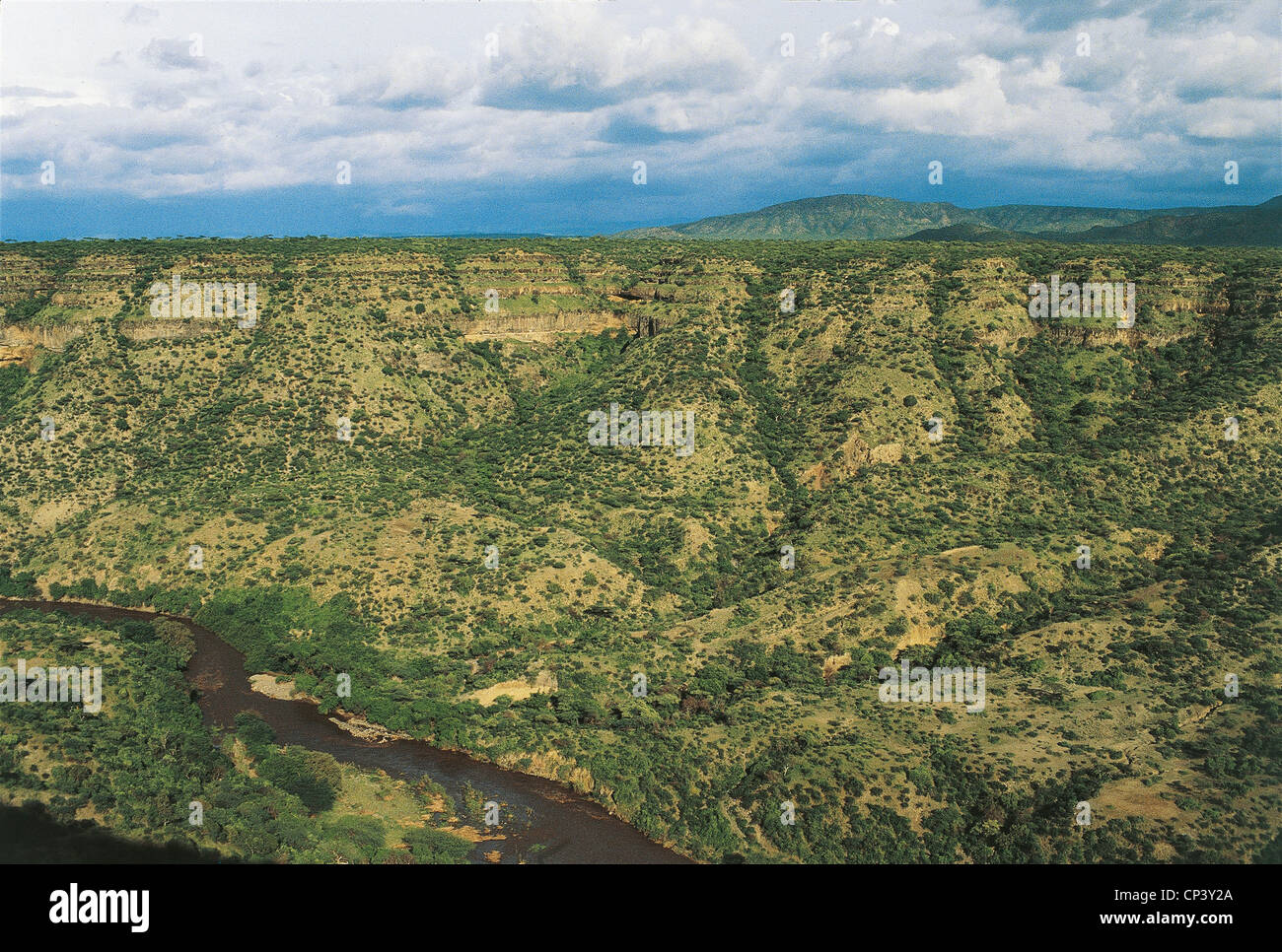 Awash River Ethiopia High Resolution Stock Photography and Images - Alamy