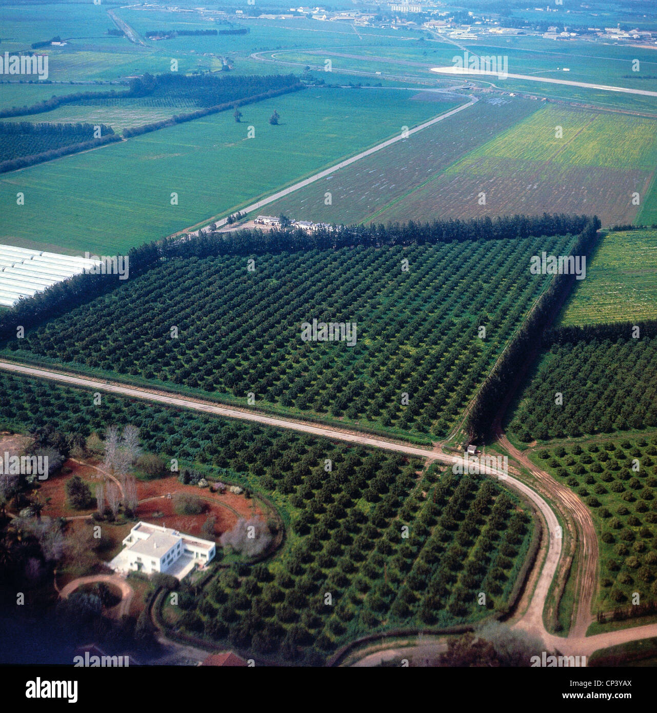 Algeria agriculture hi-res stock photography and images - Alamy