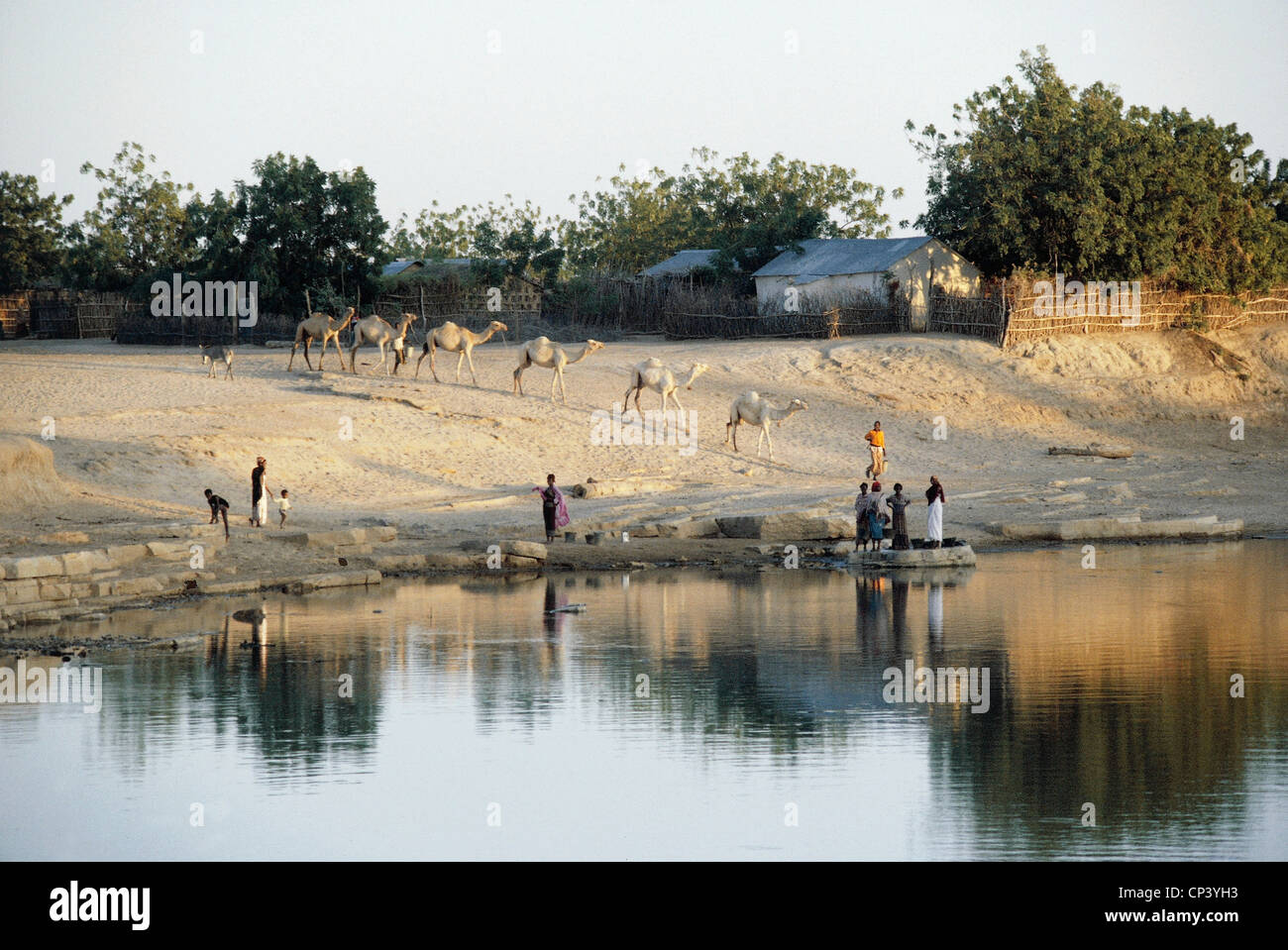 Somalia - Shabelle River Uebi near Belet Weyne Stock Photo - Alamy