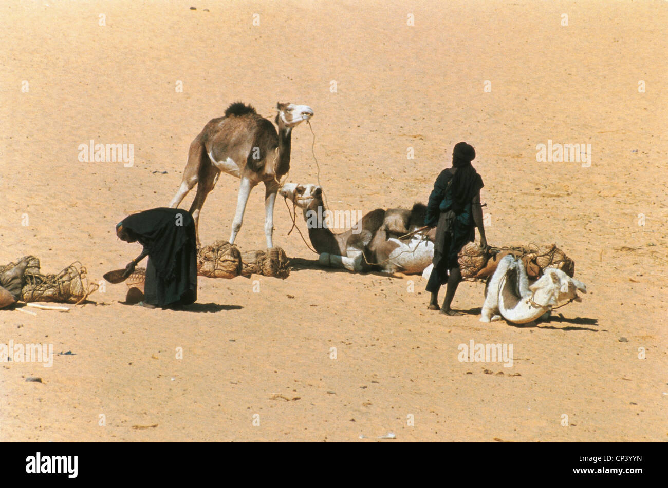 Fachi hi-res stock photography and images - Alamy