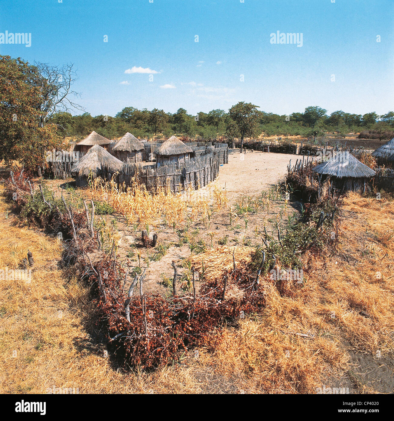 Botswana - Village Stock Photo - Alamy