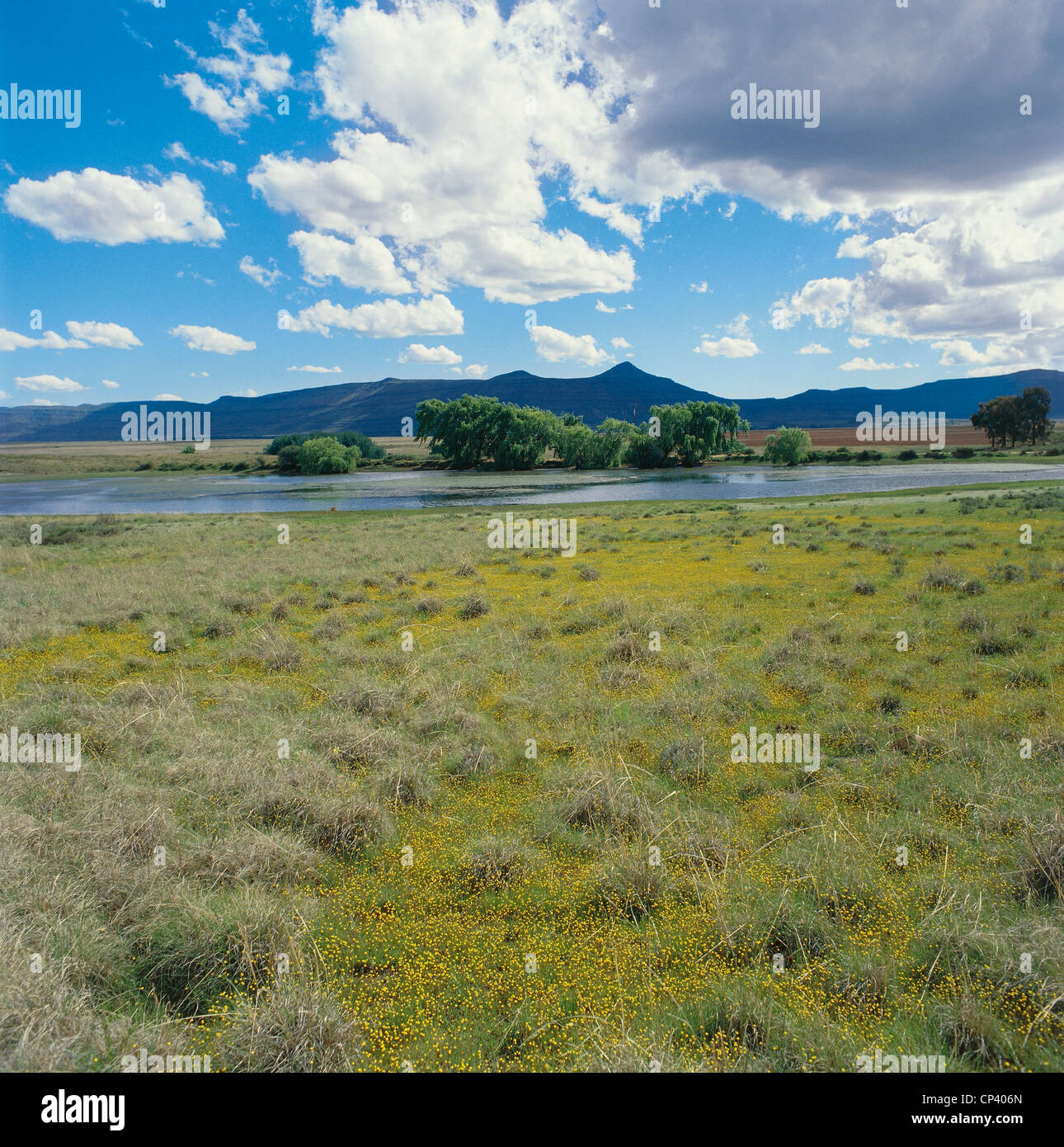 South Africa - Orange Free State - Greater Smithfield Stock Photo - Alamy
