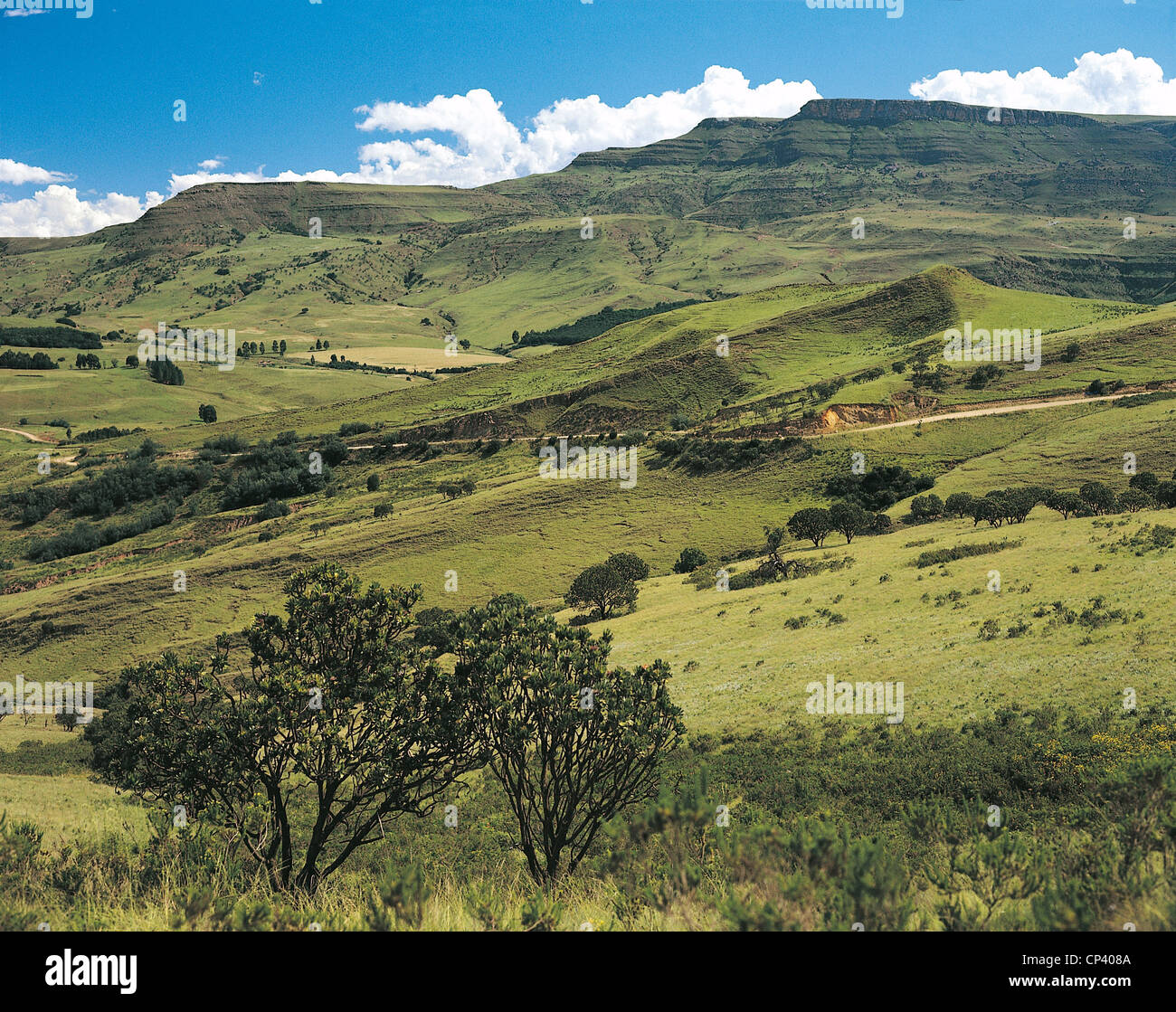 SOUTH AFRICA - NATAL, LANDSCAPE AROUND Drakensberg Stock Photo - Alamy