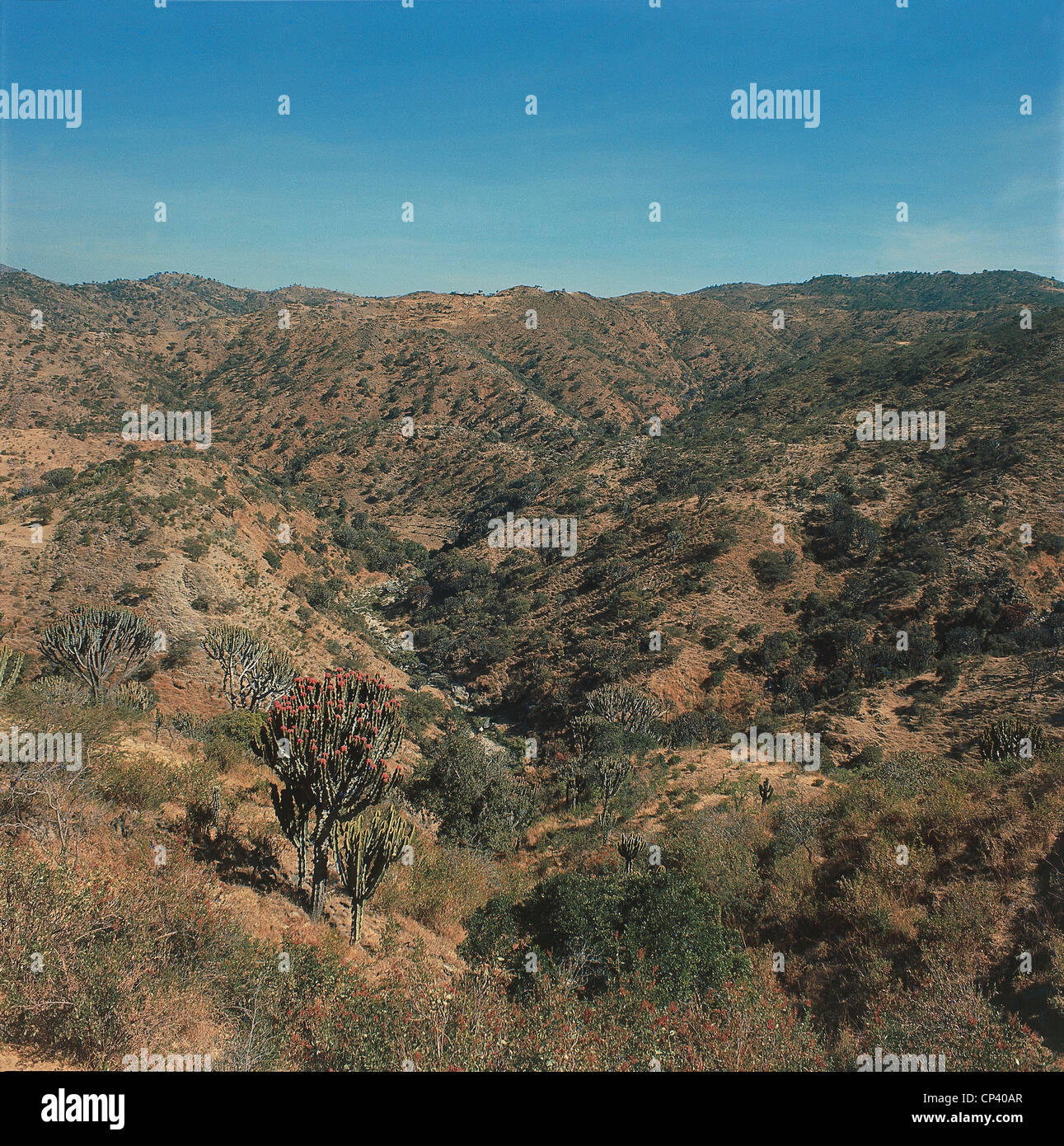 Eritrea - Agordat landscape Stock Photo - Alamy