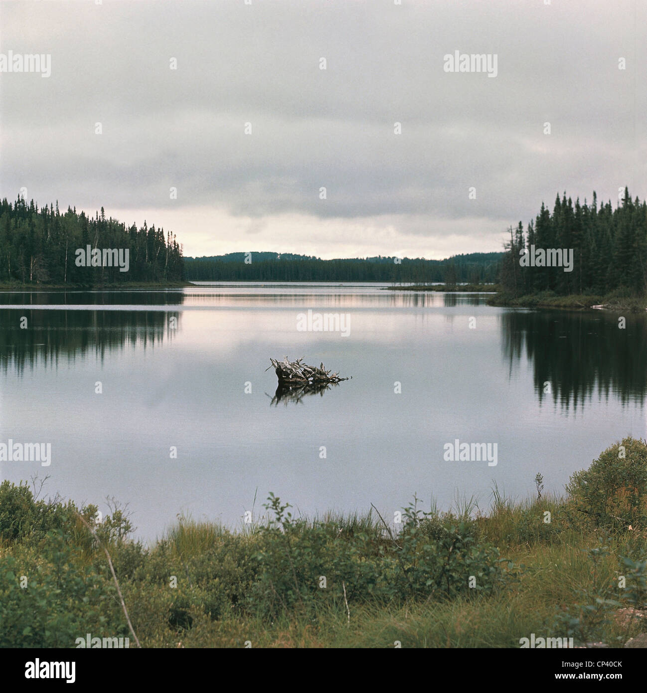 Canada - Labrador Peninsula - River Hamilton Stock Photo - Alamy