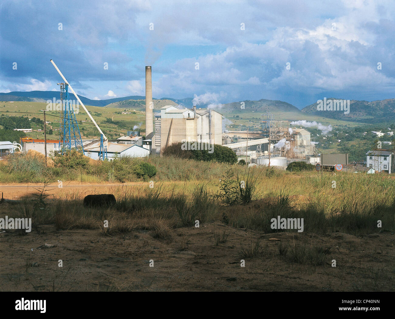 Swaziland - Sawmill Stock Photo - Alamy