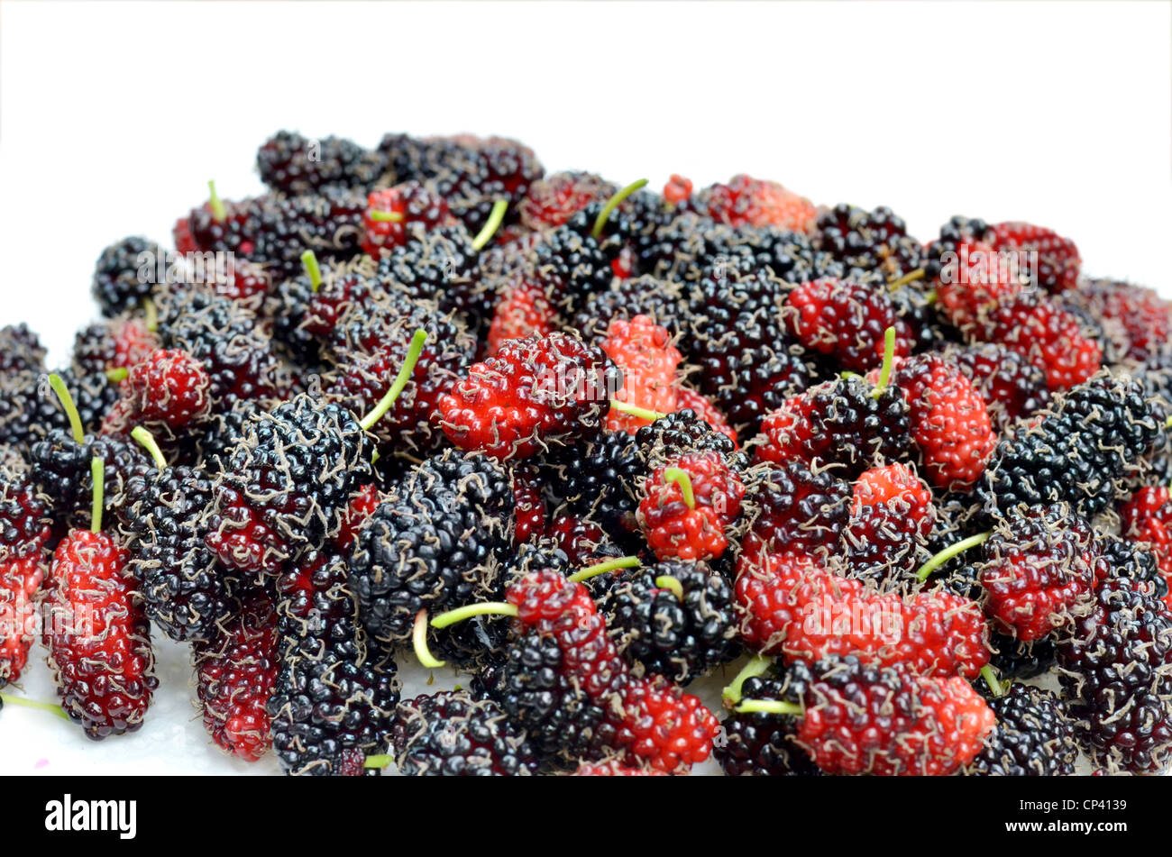 fresh mulberries on white background Stock Photo - Alamy