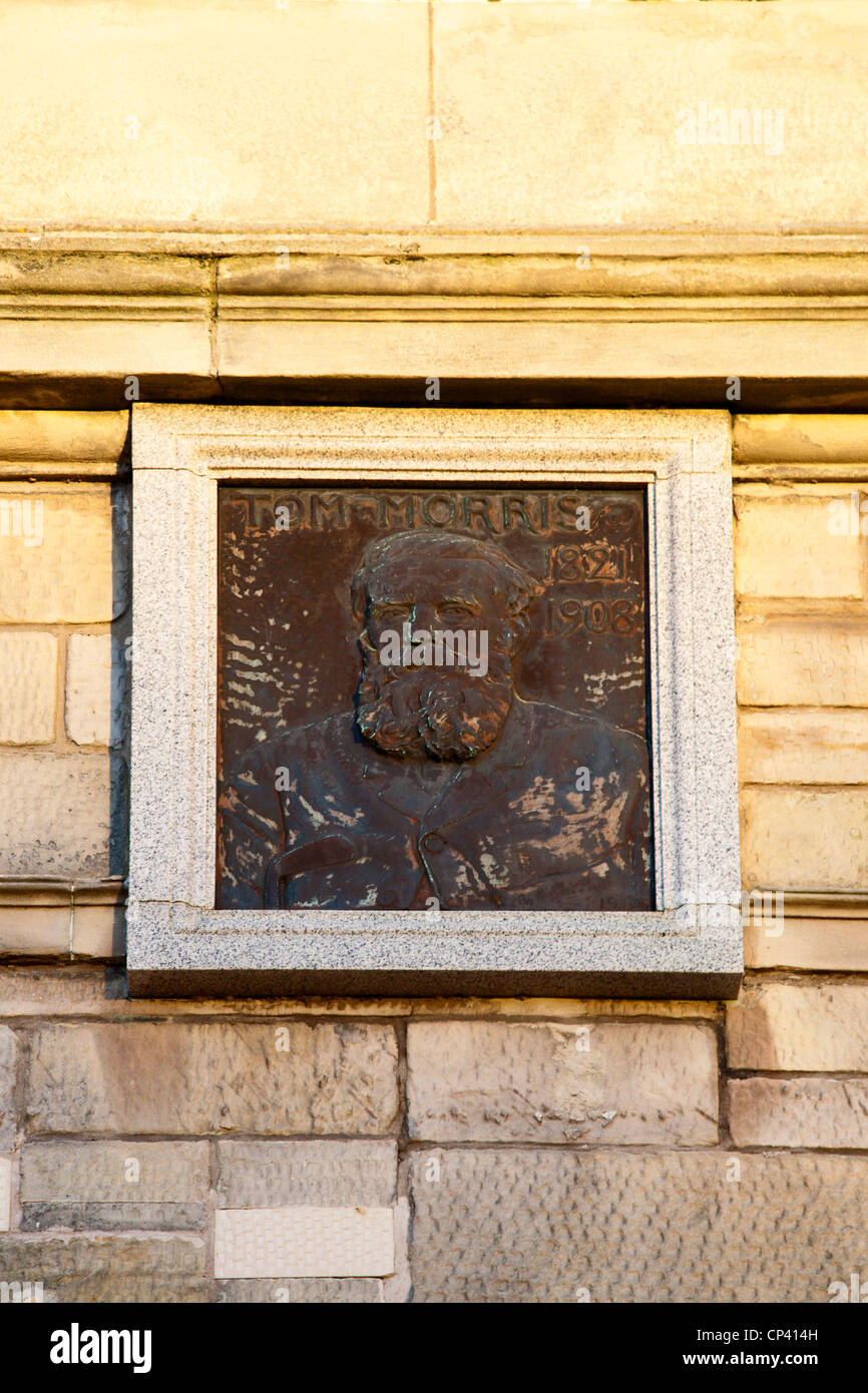 Old tom morris hi-res stock photography and images - Alamy