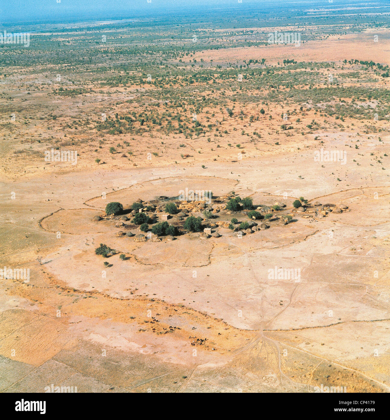 Chad - Village on the marshy banks of the lake Stock Photo - Alamy