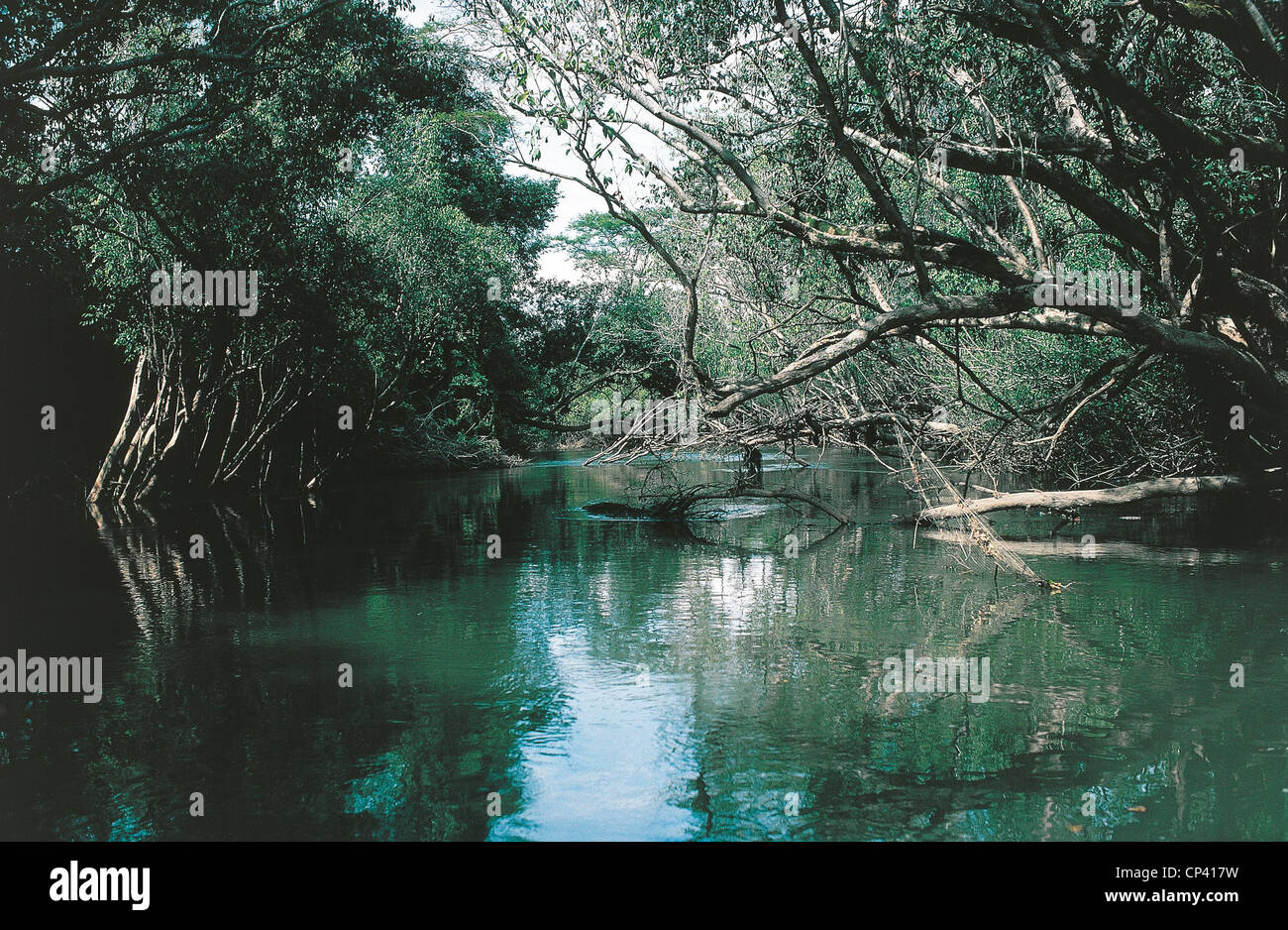 Kafubu hi-res stock photography and images - Alamy