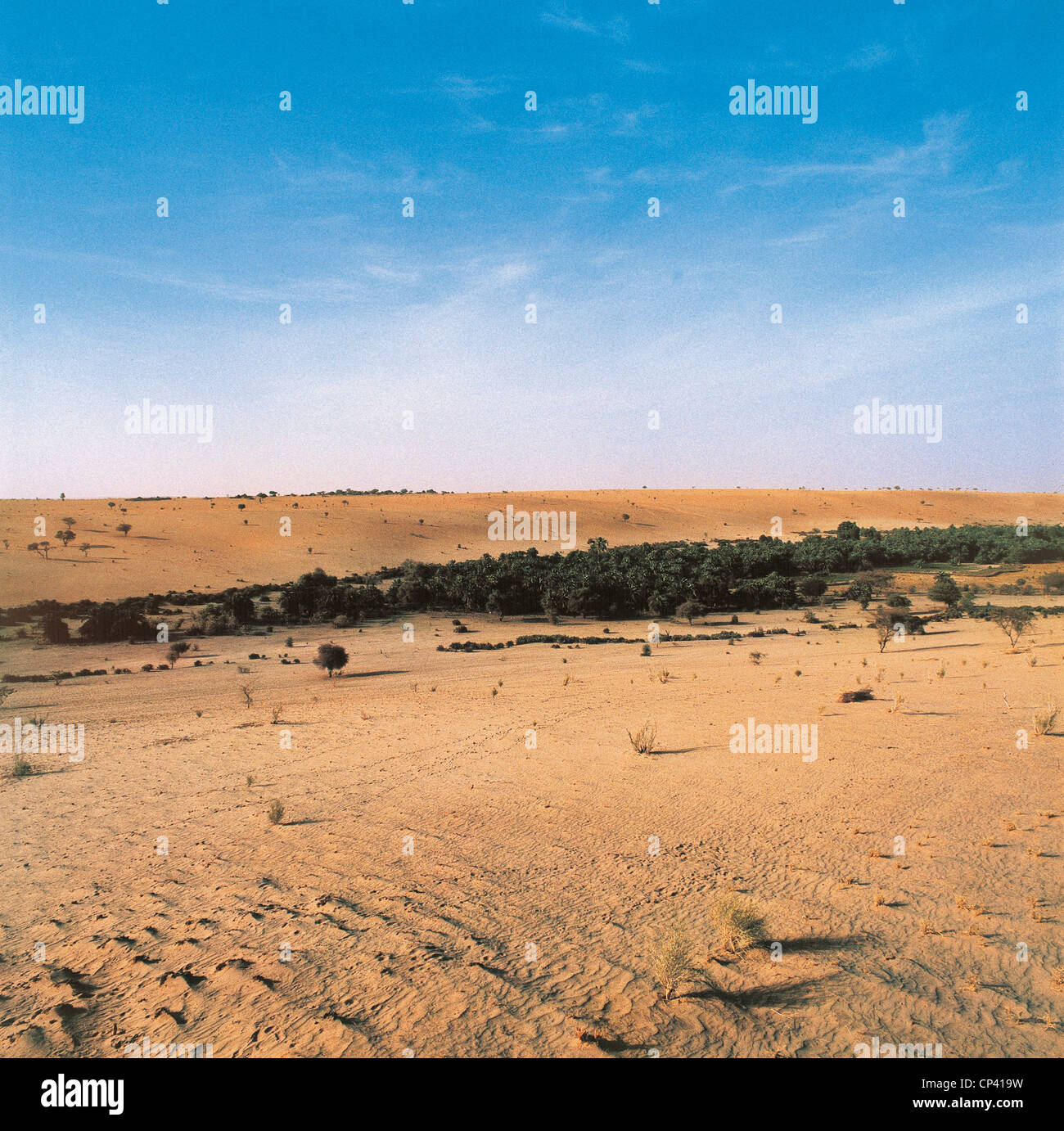 Chad - Oasis near Mao Stock Photo - Alamy