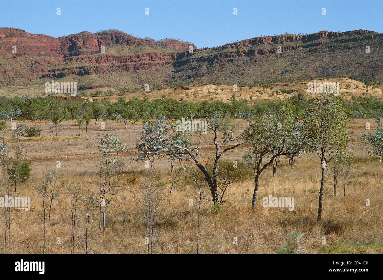 Australia - Western Australia - Kimberley plateau Stock Photo - Alamy