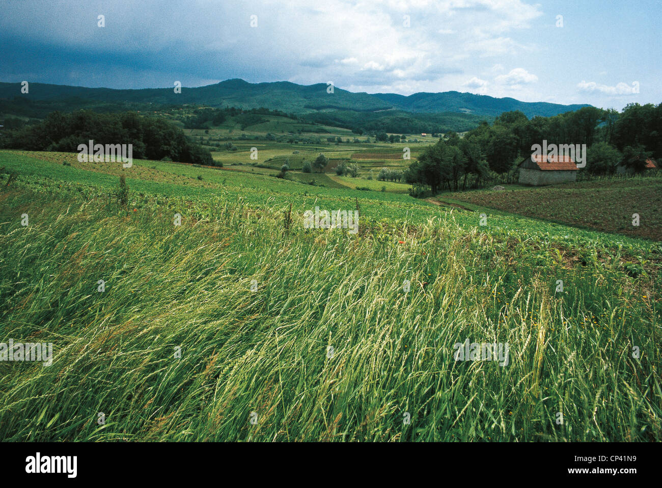 CROATIA - AREA OF NOVI Marof Stock Photo - Alamy