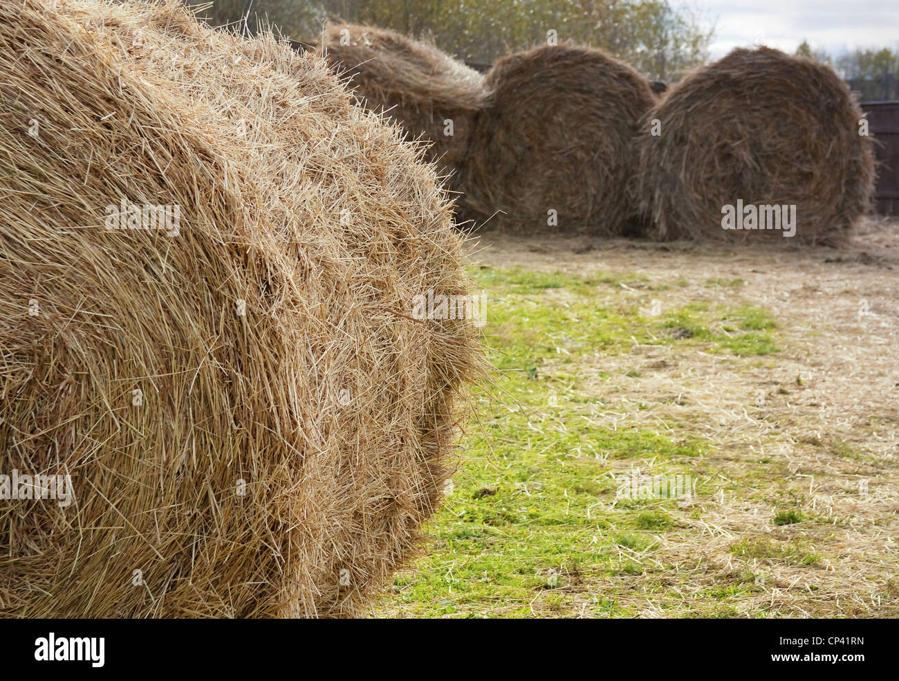 Hay rick hi-res stock photography and images - Alamy