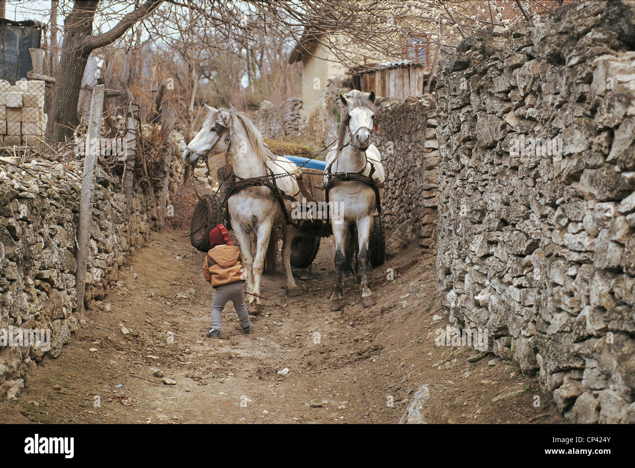 Moldova (Moldavia) - wagon pulled by two horses Stock Photo - Alamy