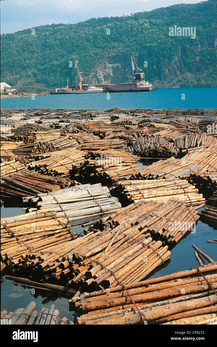NORWAY Kvinesdal rafting TIMBER Stock Photo - Alamy