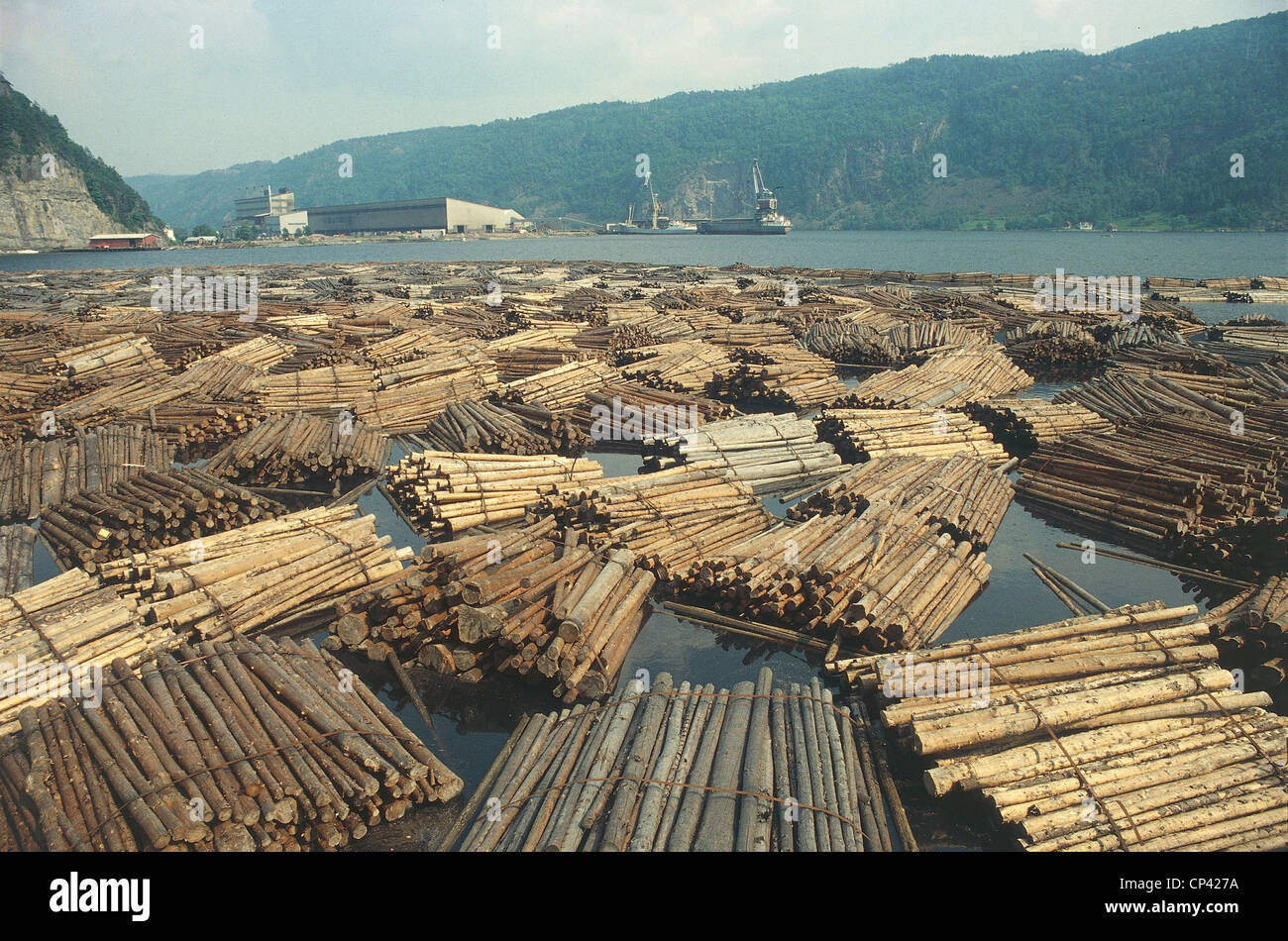 Norway - Kvinesdal, timber rafting Stock Photo - Alamy