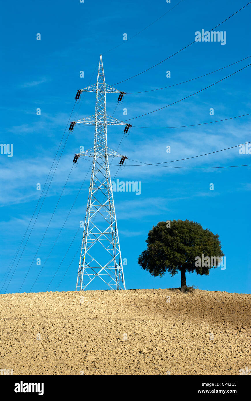 Electricity pylon and tree in cultivated field. Umbria. Italy Stock ...
